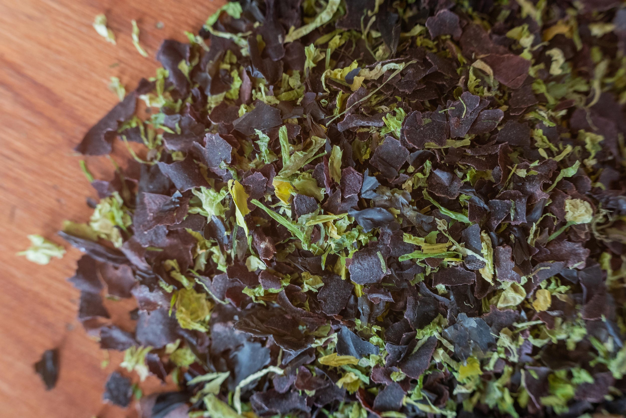 Seaweed Guide – Cornish Seaweed
